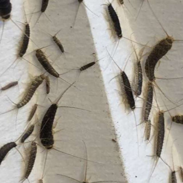 Logg ut | Askim & Spydeberg Sparebank