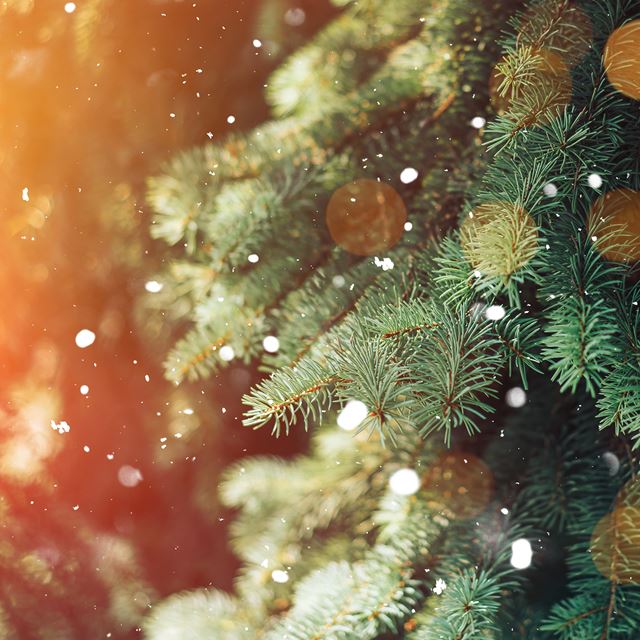 Logg ut | Askim & Spydeberg Sparebank